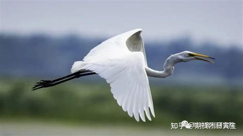 新阶段跨期策略更新完成苹果5 10红枣5 9反套思路 知乎