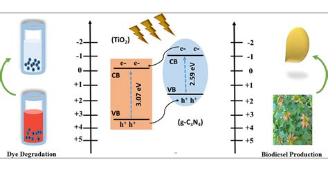 Tio2 G C3n4 Binary Composite As An Efficient Photocatalyst For Biodiesel Production From