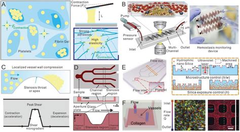 Design Principles Of Microfluidic Devices For Coagulation Research A Download Scientific