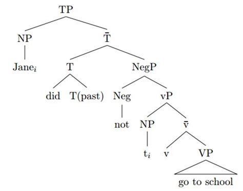 Tree Diagram Linguistics Examples