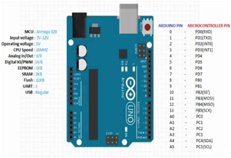 Raspberry Pi Vs Arduino Technical Specs And Pinout