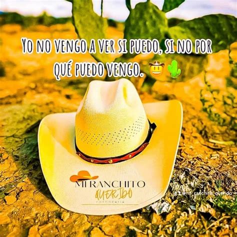 El Peluchito Youtube