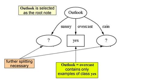 Chapter 4 Decision Trees Algorithms By Madhu Sanjeevi Mady