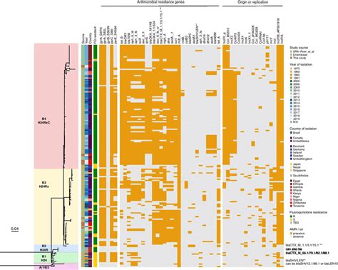 Core Genome Single Nucleotide Polymorphism Snp Based Phylogenetic Download Scientific Diagram