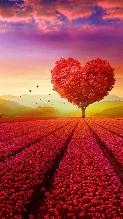 Heart Wallpapers Flowers Background Hd Desktop Wallpapers 4k Hd Porn