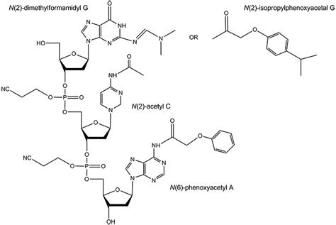 Dna Oligonucleotide Synthesis