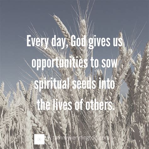Bible Verse Sowing Seeds At Willie Wells Blog