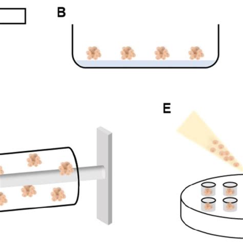 Schematic Of Various Spheroid Fabrication Methods A Hanging Drop B