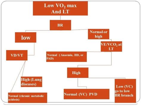 Interpretation Of Cpet Interpretation Of Cpet
