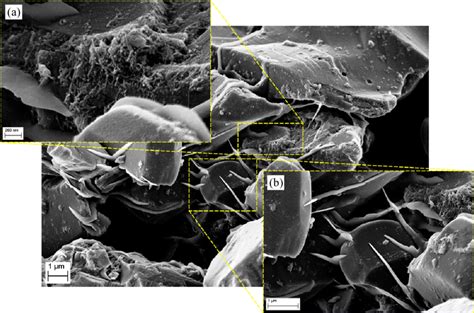 Notable Features Observed In The Microstructure Of The Cnt Reinforced Download Scientific