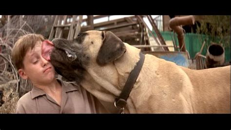 The Sandlot Movie Dog