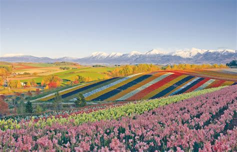 Ultimate Japan Hokkaido Tour Package Ljprrc