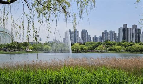 부천 주말나들이 상동호수공원 수피아 예약 방법 네이버 블로그
