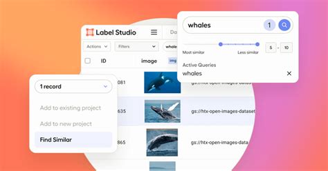 Create Custom Labeling Interfaces Faster With Autocomplete Humansignal