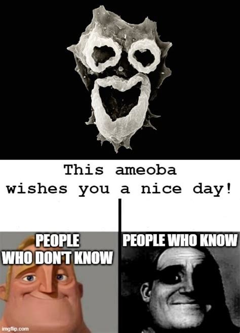 Death Meme Face