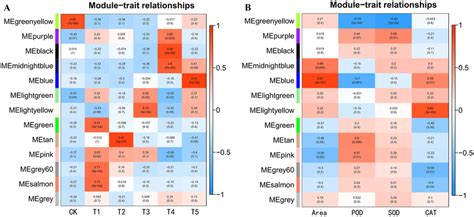 A Module Trait Associations Estimated Using Correlations Between Module