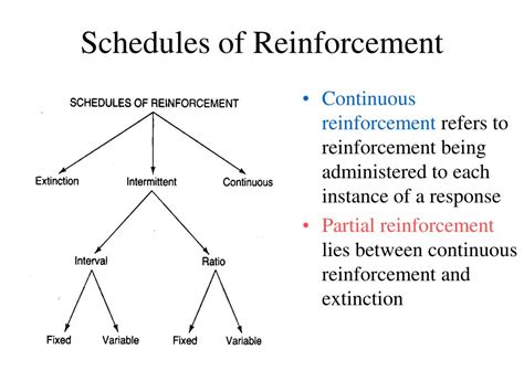 Types Of Reinforcement Schedules Examples At Ava Ewers Blog