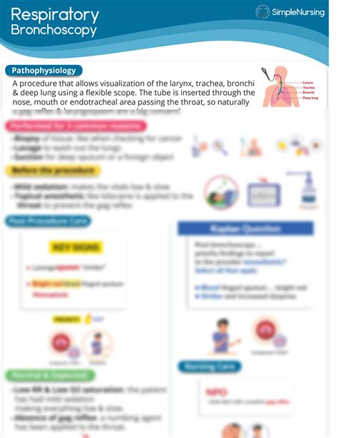 Solution Nursing Med Surg 1 Bronchoscopy Studypool