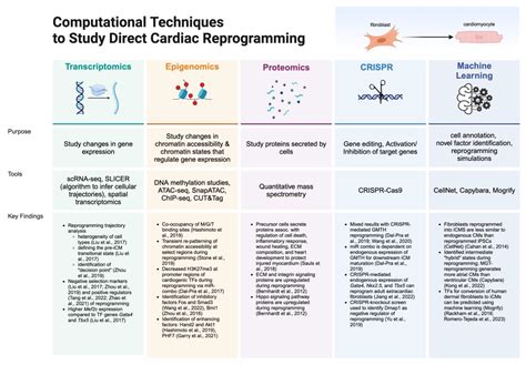 Jcdd Free Full Text Direct Cardiac Reprogramming In The Age Of