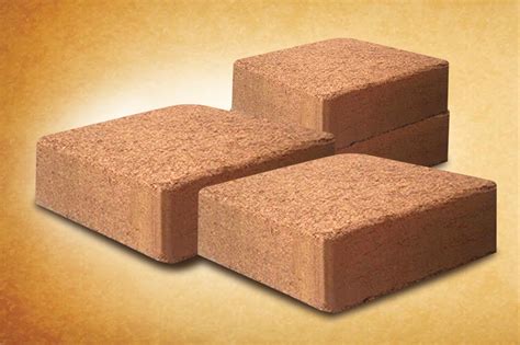 Coco Pith Block Calix Coco