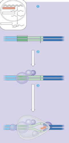 Breakout Session Questions Flashcards Quizlet