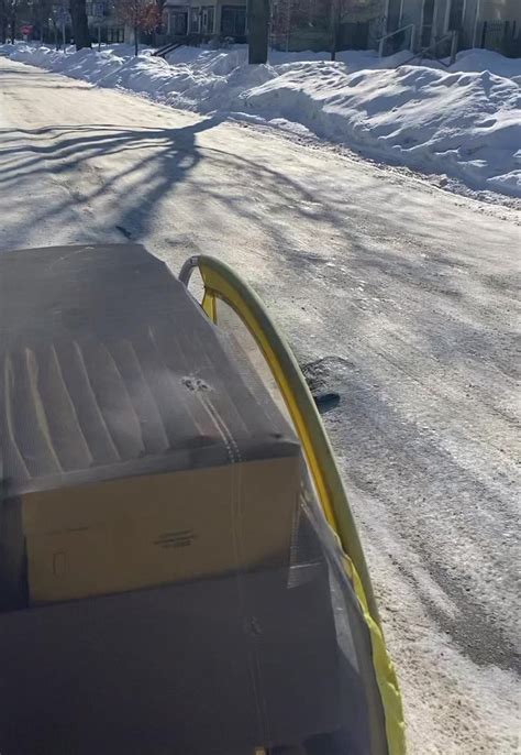 Make The Golf Course A Public Sex Forest On Twitter Just A Normal Day