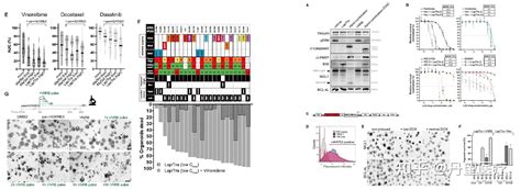 单细胞测序与类器官的美丽邂逅，造就高水平的科研产出（下篇） 知乎