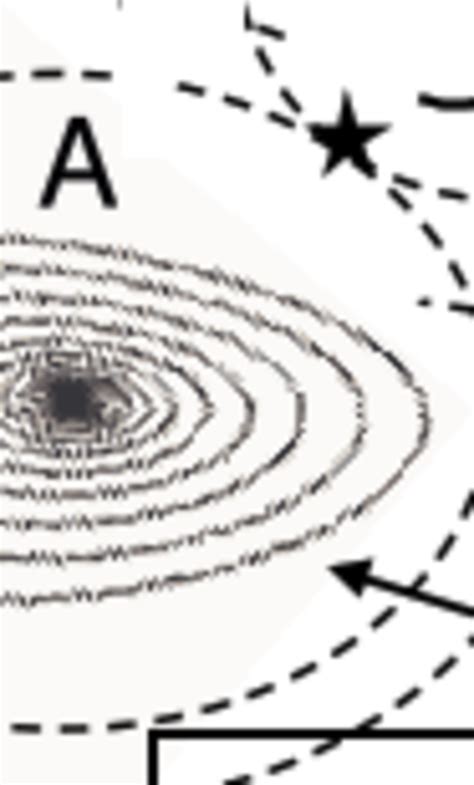 Schematics Showing The Mathematical Hierarchy Of Cellular Dynamics