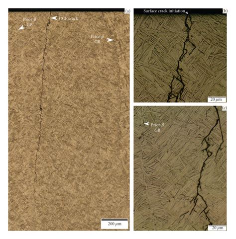 Microphotographs Showing A The Fatigue Crack Path In A Representative Download Scientific