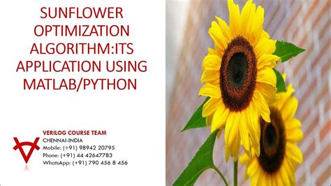 Sunflower Optimization Algorithm Its Application Using Matlab Python