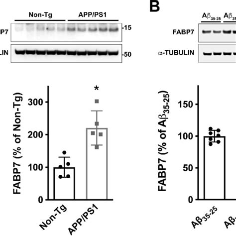 Fabp7 Upregulation In App Ps1 Mice And Aβ Treated Astrocyte Cultures A Download Scientific