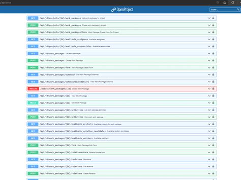 New Standard For Openproject Api