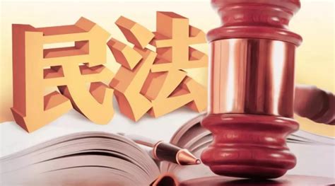 民法典：社会生活的百科全书 红视频