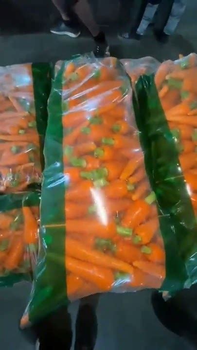 морковь оптом ковалев Youtube