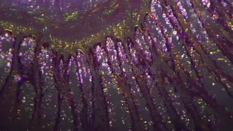 Macro Footage Of Human Colon Tissue Taken For Medical Check And Magnified Under Microscope 400x