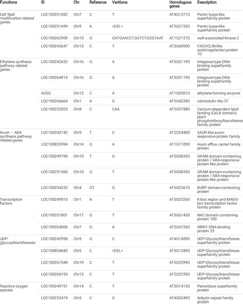 Identied Important Candidate Genes Affected By Variants Download Scientific Diagram