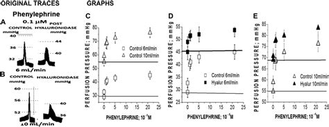 Magnitudes Of The Vasoconstrictor Effects Of Hormonal Activation Of