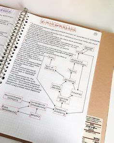 Study Notes Discover 160 Note Layouts Ideas On This Pinterest Board Notes Inspiration