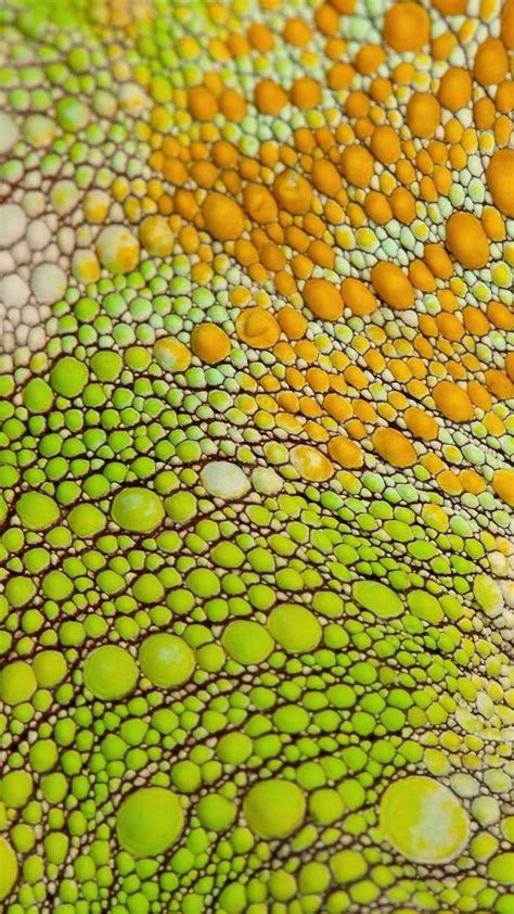 Sbgddrad Seq — Floragenex Turning Dna Into Data