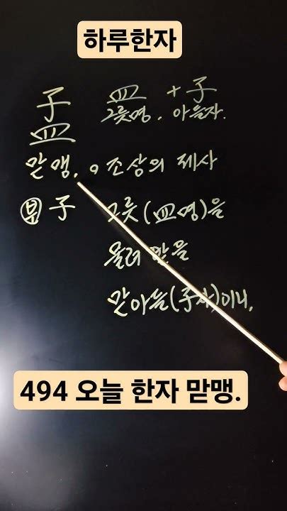 Shorts하루한자그릇명아들자 孟 맏맹 Youtube Shorts하루한자그릇명아들자 孟 맏맹 Youtube