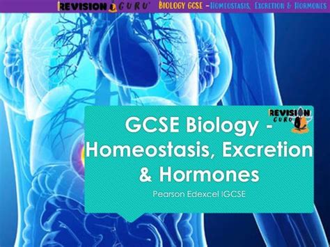 Gcse Biology Nervous And Plant Co Ordination Teaching Resources