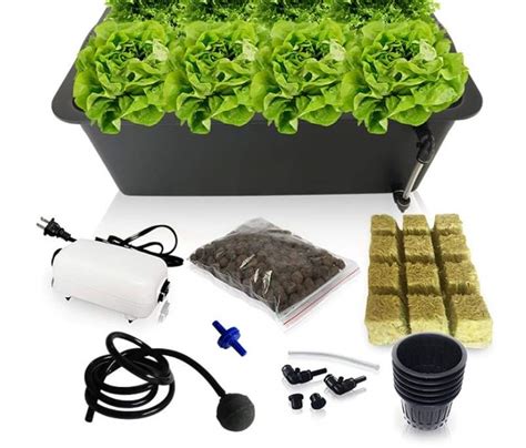 Hydroponic Growing Kit Plant Culture Ph