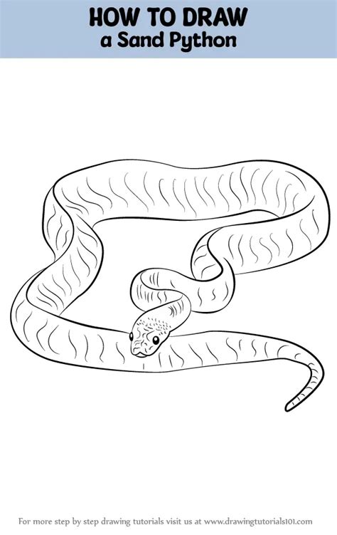 How To Draw A Snake In Python