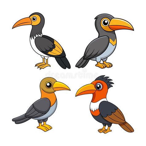 Realistic Common Scimitarbill Bird Illustration Stock Vector