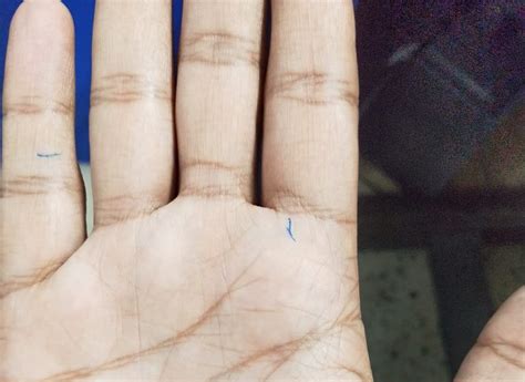 Use Open Cv To Analyze The Palm Line