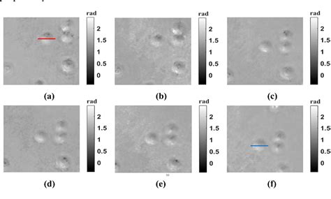 Figure 7 From Synchronous Phase Shifting Interference For High Precision Phase Imaging Of