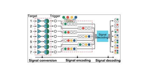 Dna Programmed Four Bit Quaternary Fluorescence Encoding Fluco