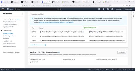 Correctly Enter The Cname Records Provided During Domain Verification Aws Repost