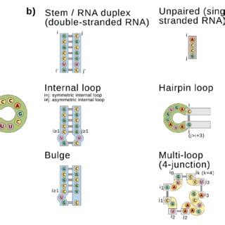 RNA Secondary Structure And Secondary Structural Elements A Download Scientific Diagram