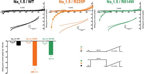 Gating Pore Currents After Long Depolarizations A Currents Download Scientific Diagram